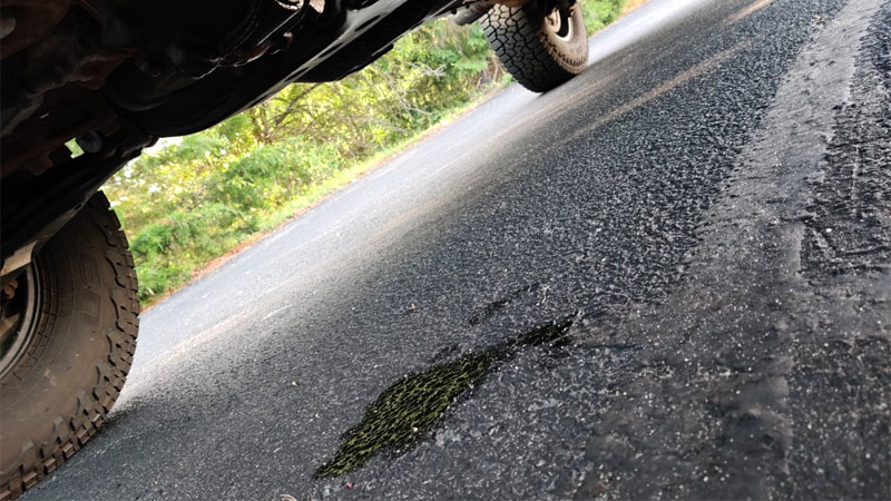 4 Symptoms of a Bad Differential (Can You Continue Driving?)